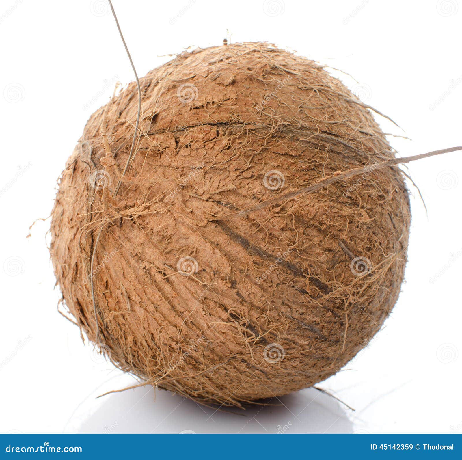 Whole coconut stock image. Image of nutrition, closeup - 45142359