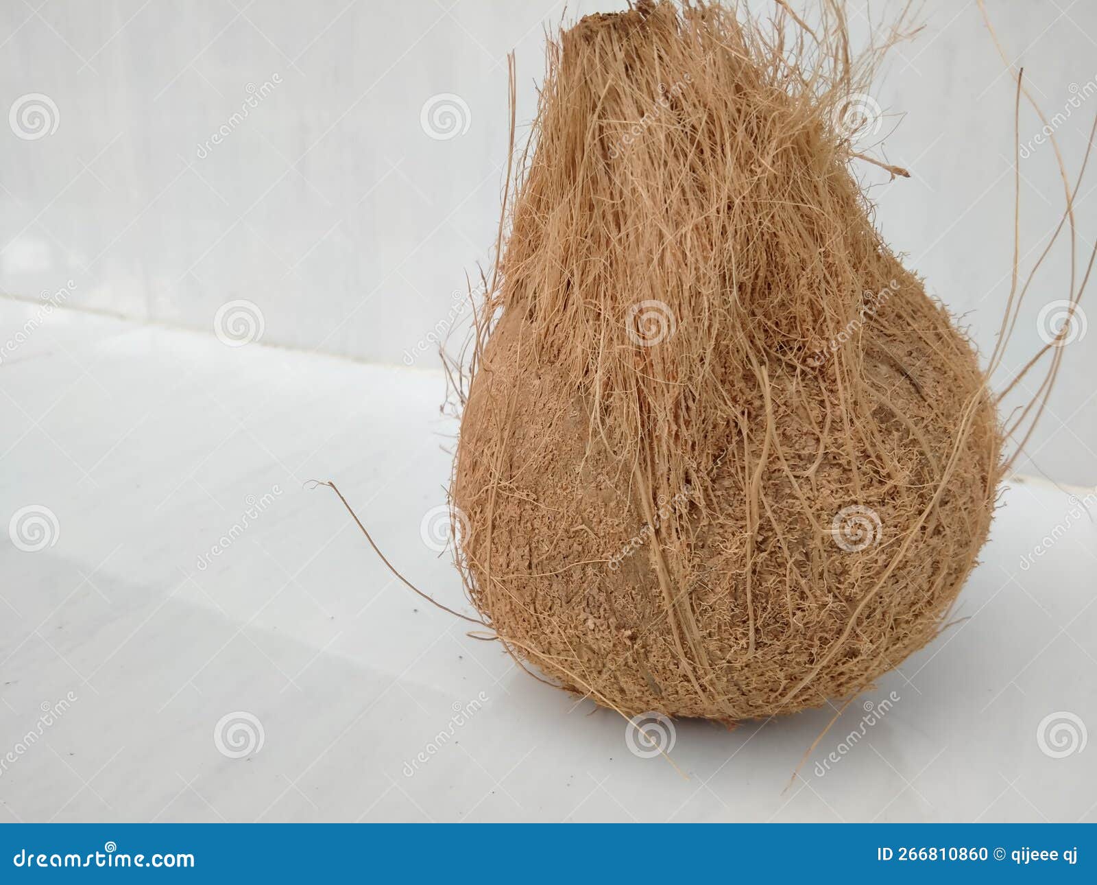 Whole coconut shell fiber stock photo. Image of choco - 266810860
