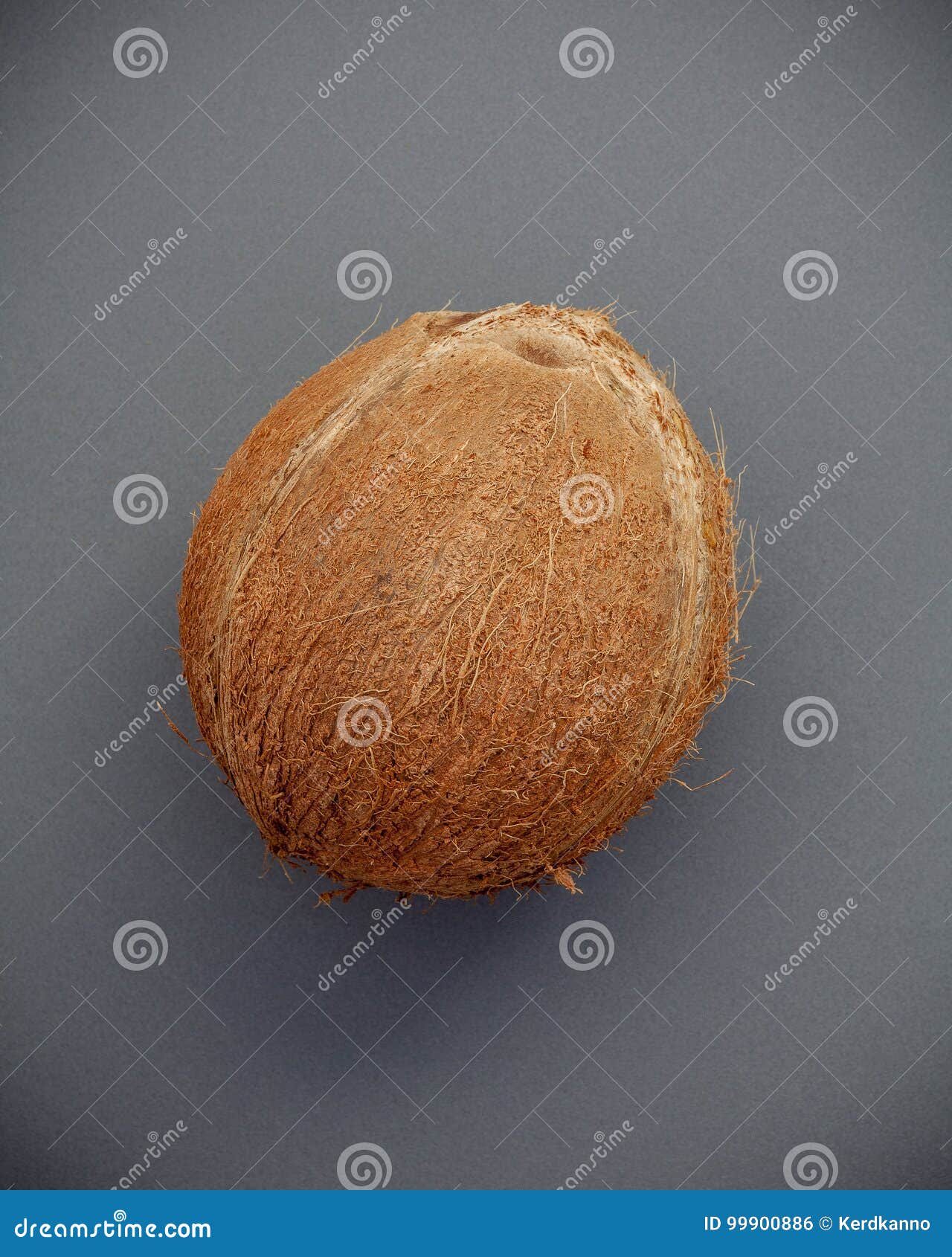 Whole of Coconut Shell on Gray Background Flat Lay and Copy Space. Top ...