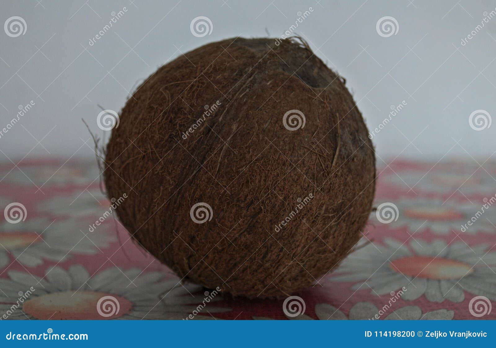 Whole Coconut Standing on Table, Close Up Stock Photo - Image of nature ...