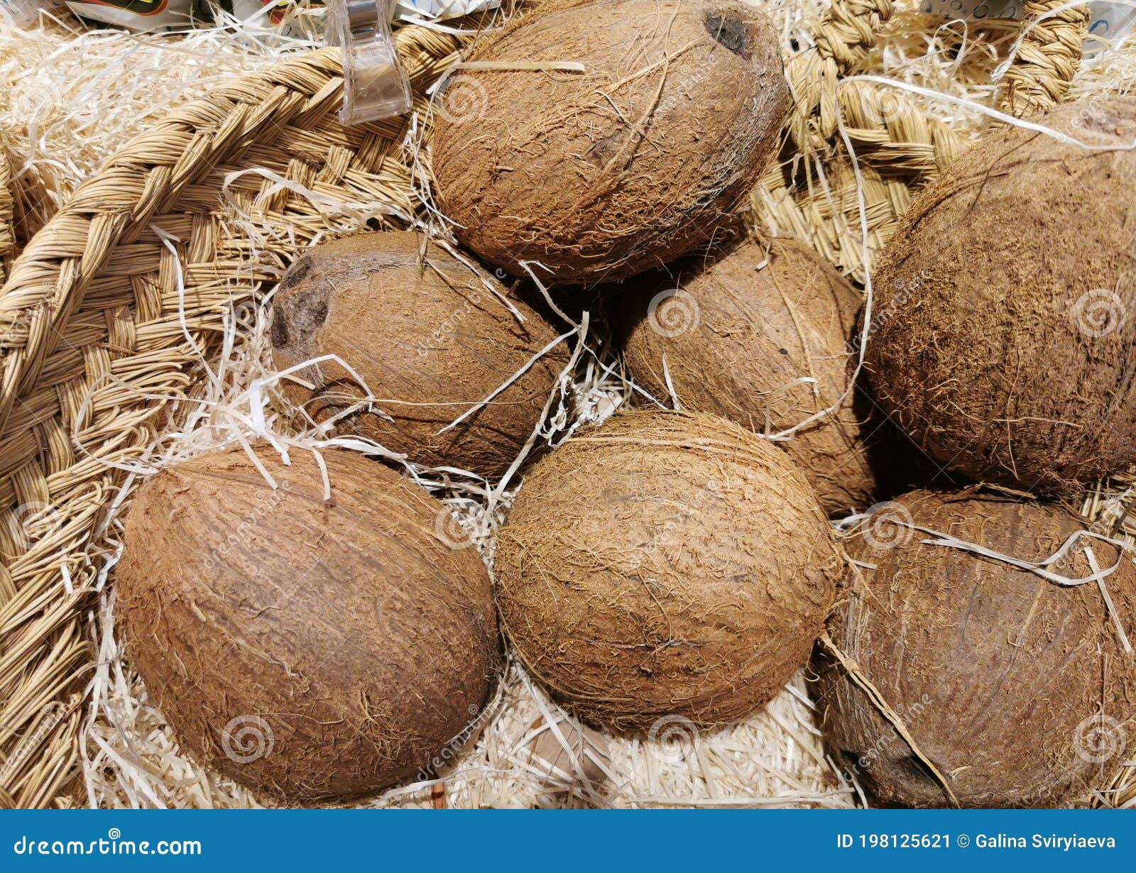 Whole coconuts in a basket stock image. Image of full - 198125621