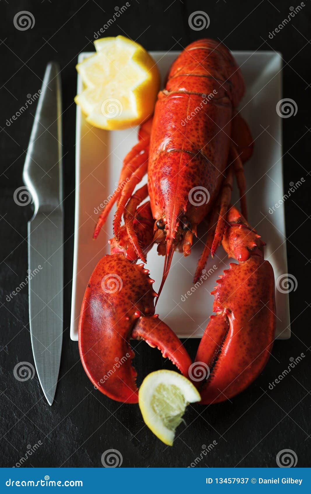 Whole cooked Lobster stock image. Image of macro, exclusive - 13457937