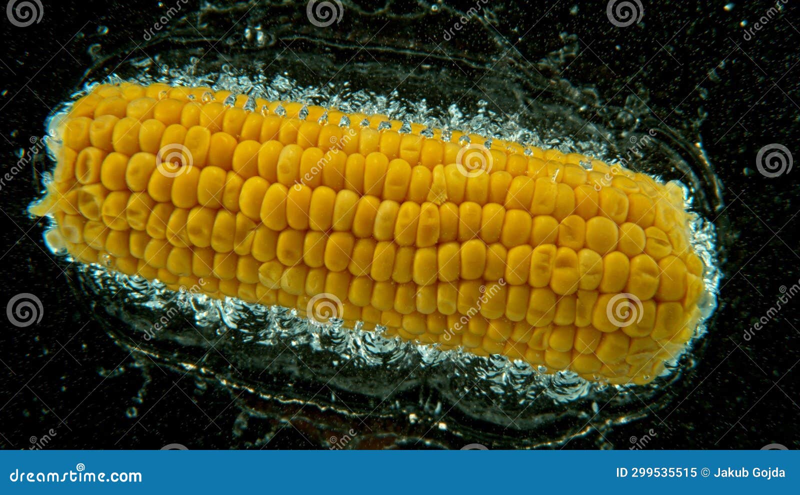 Whole Corn Cob Dropped in Water Stock Image - Image of fresh, abstract ...