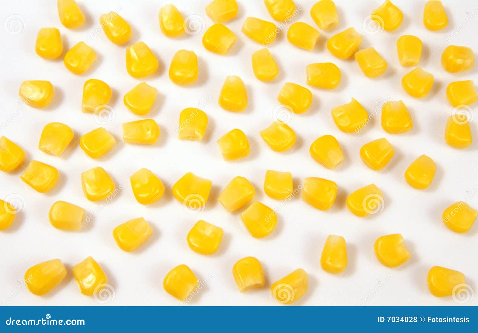 Whole corn kernels stock photo. Image of ingredients, ripe - 7034028