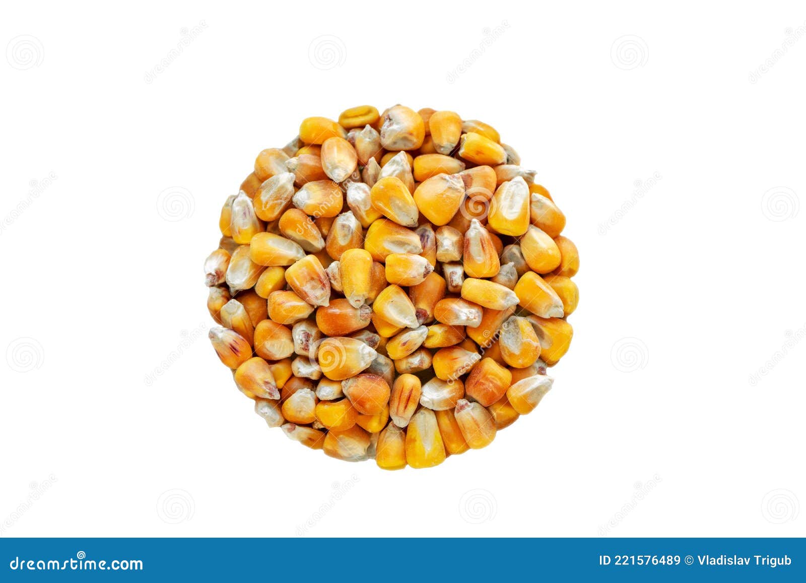 Whole Corn Seed Isolate in the Shape of a Circle. Cereals, Agricultural ...