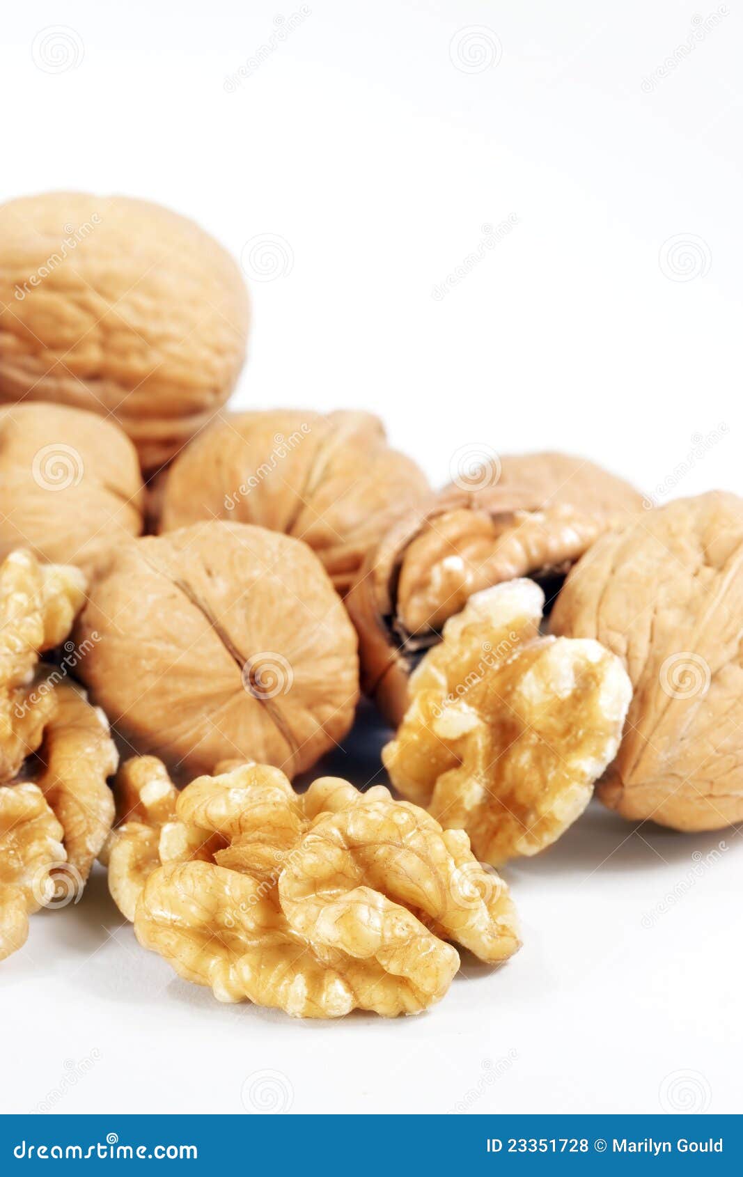 Whole and Cracked Walnuts stock photo. Image of agriculture - 23351728