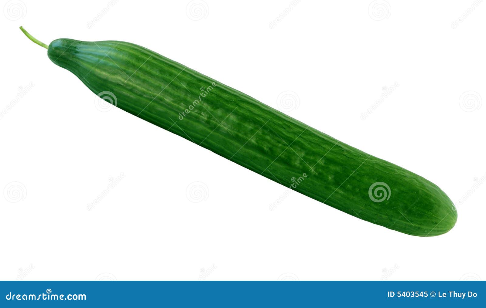 Whole cucumber stock image. Image of long, macro, organic - 5403545