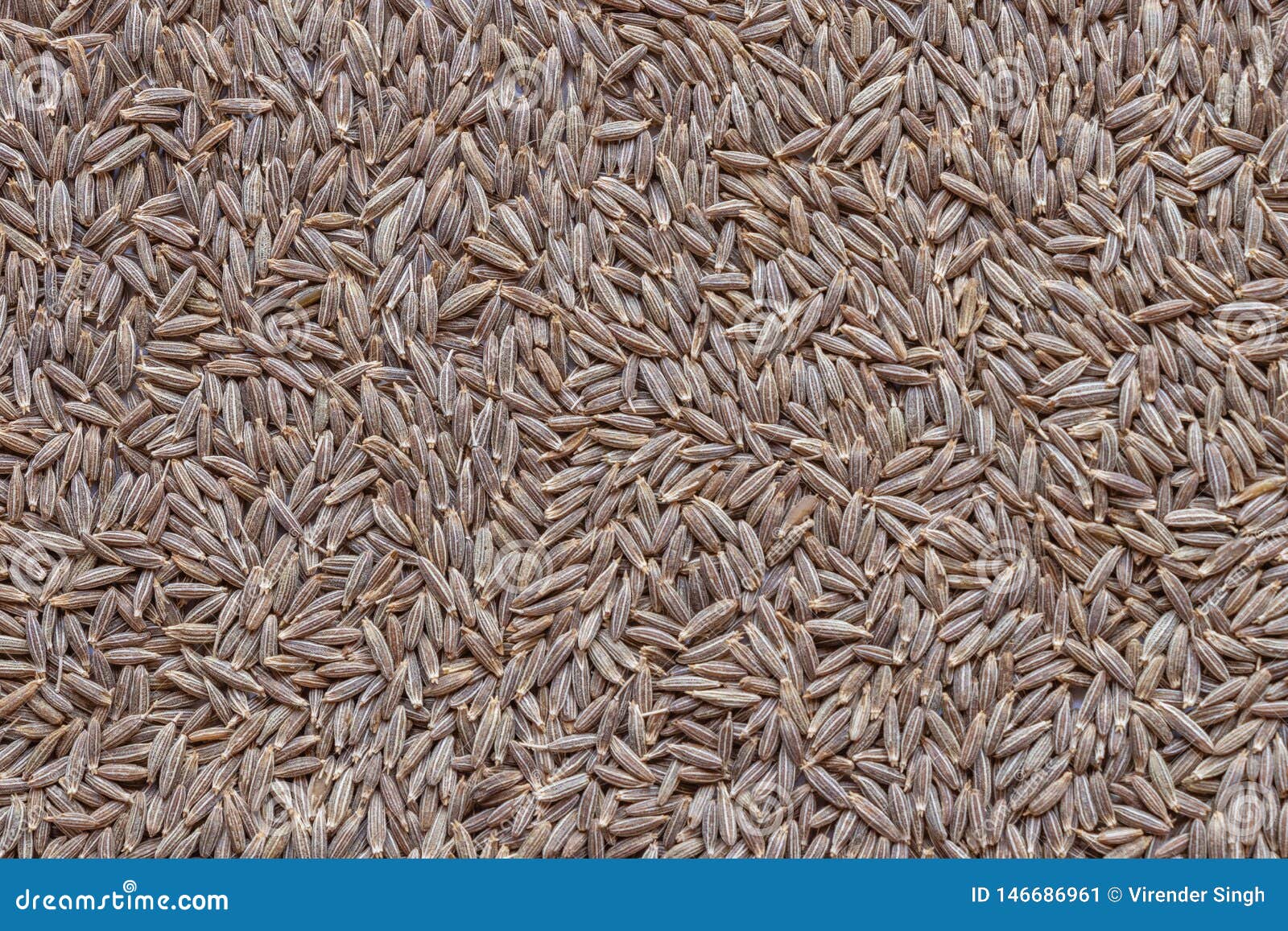 Cumin Powder Jira Powder Stock Photos - Free & Royalty-Free Stock ...