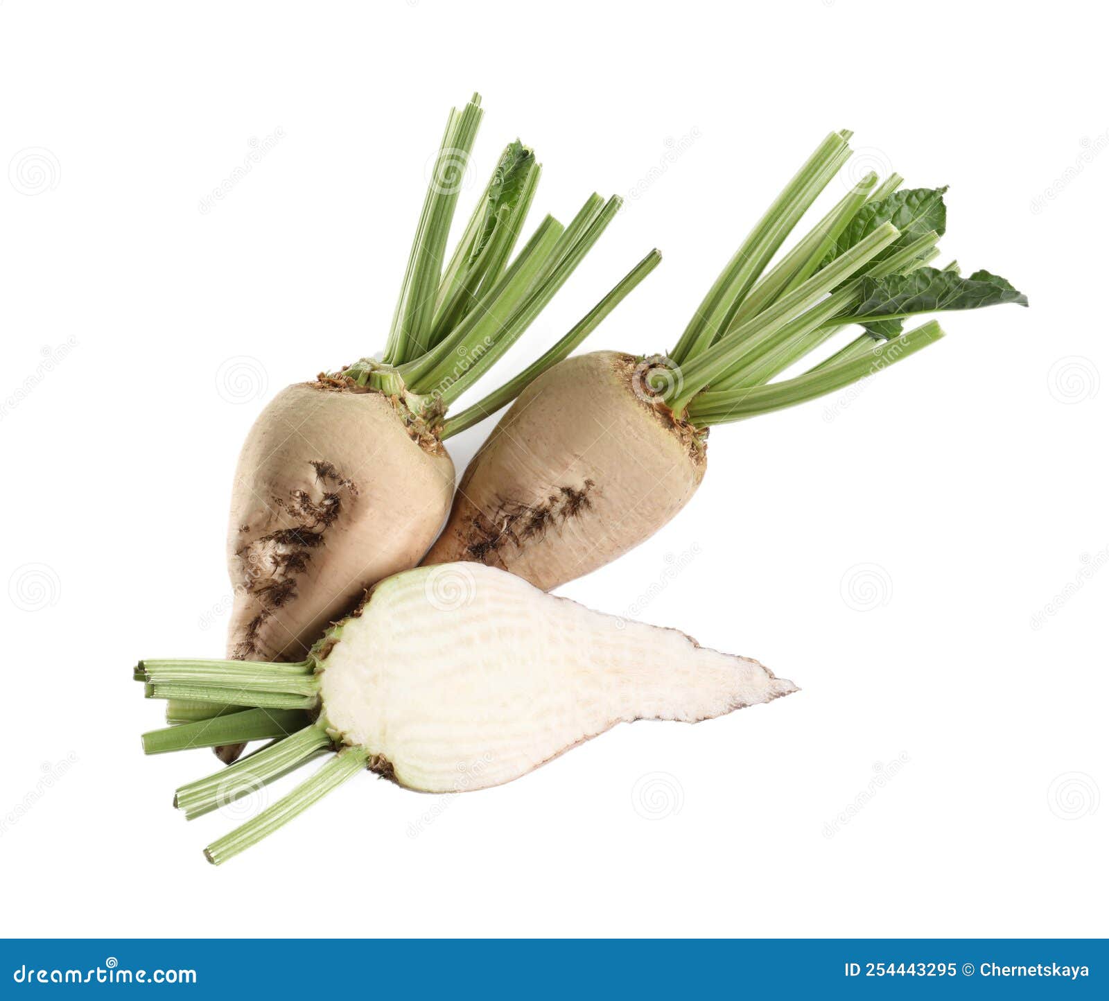 Whole and Cut Sugar Beets on White Background Stock Image - Image of ...