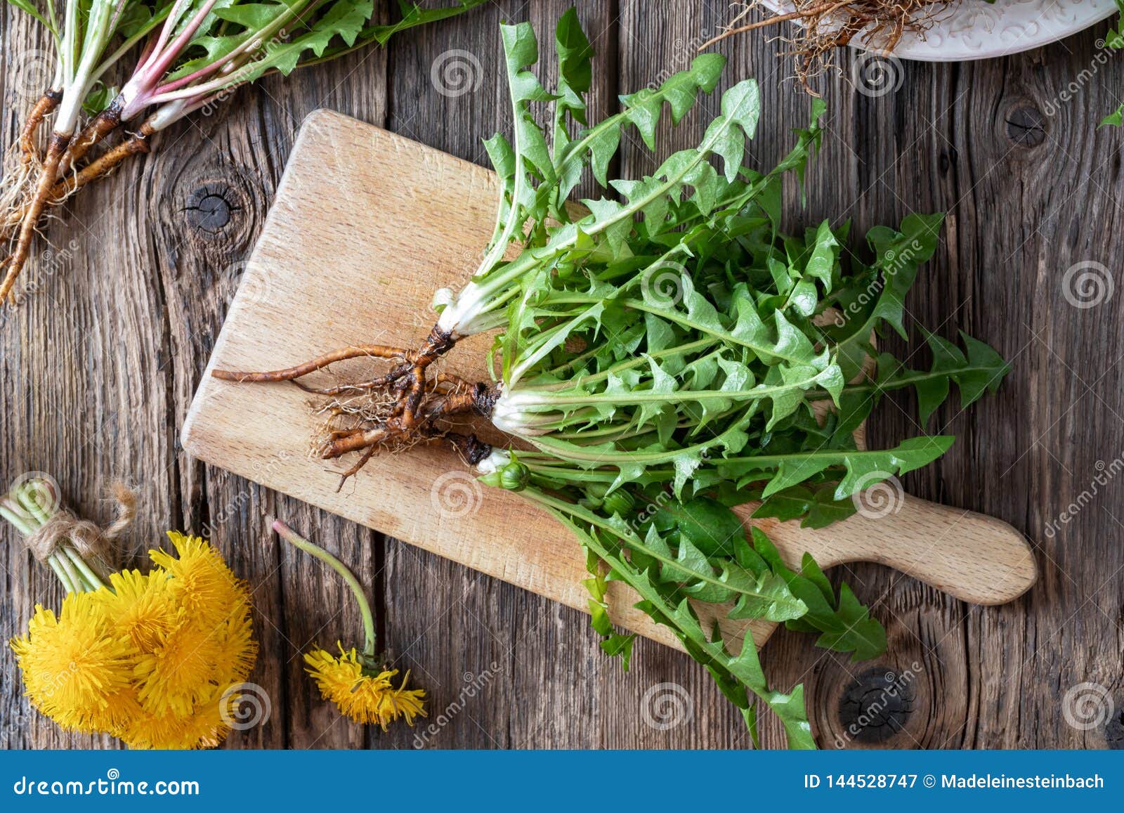 Whole Dandelion Plants with Roots, Top View Stock Image - Image of ...