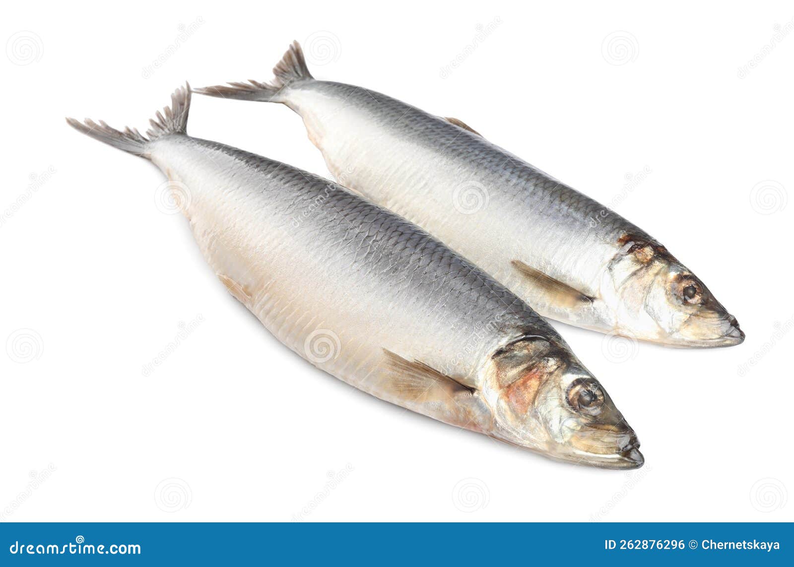 Whole Delicious Salted Herrings Isolated on White Stock Photo - Image ...