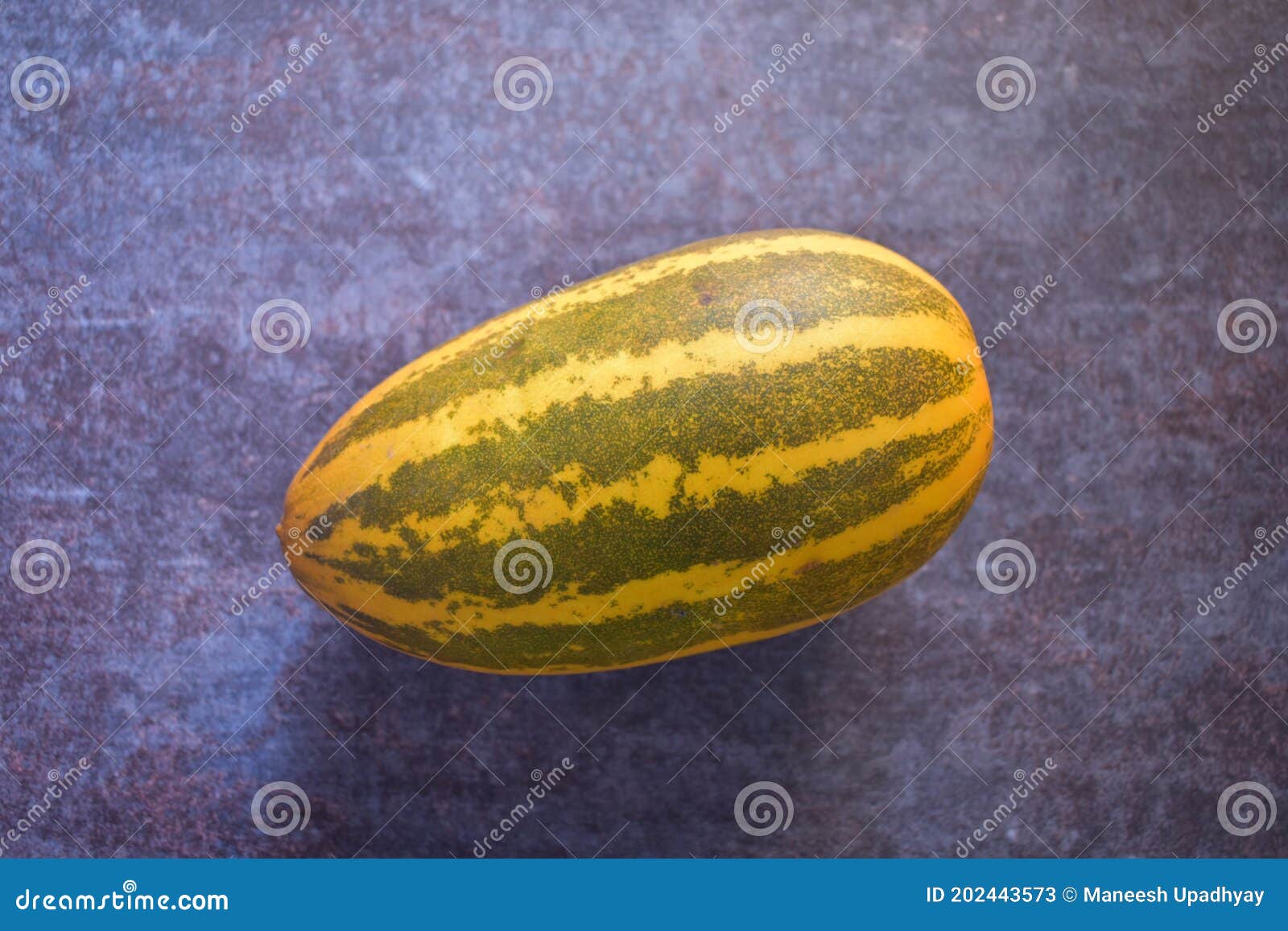 Whole Dosakai stock image. Image of colorful, curry - 202443573