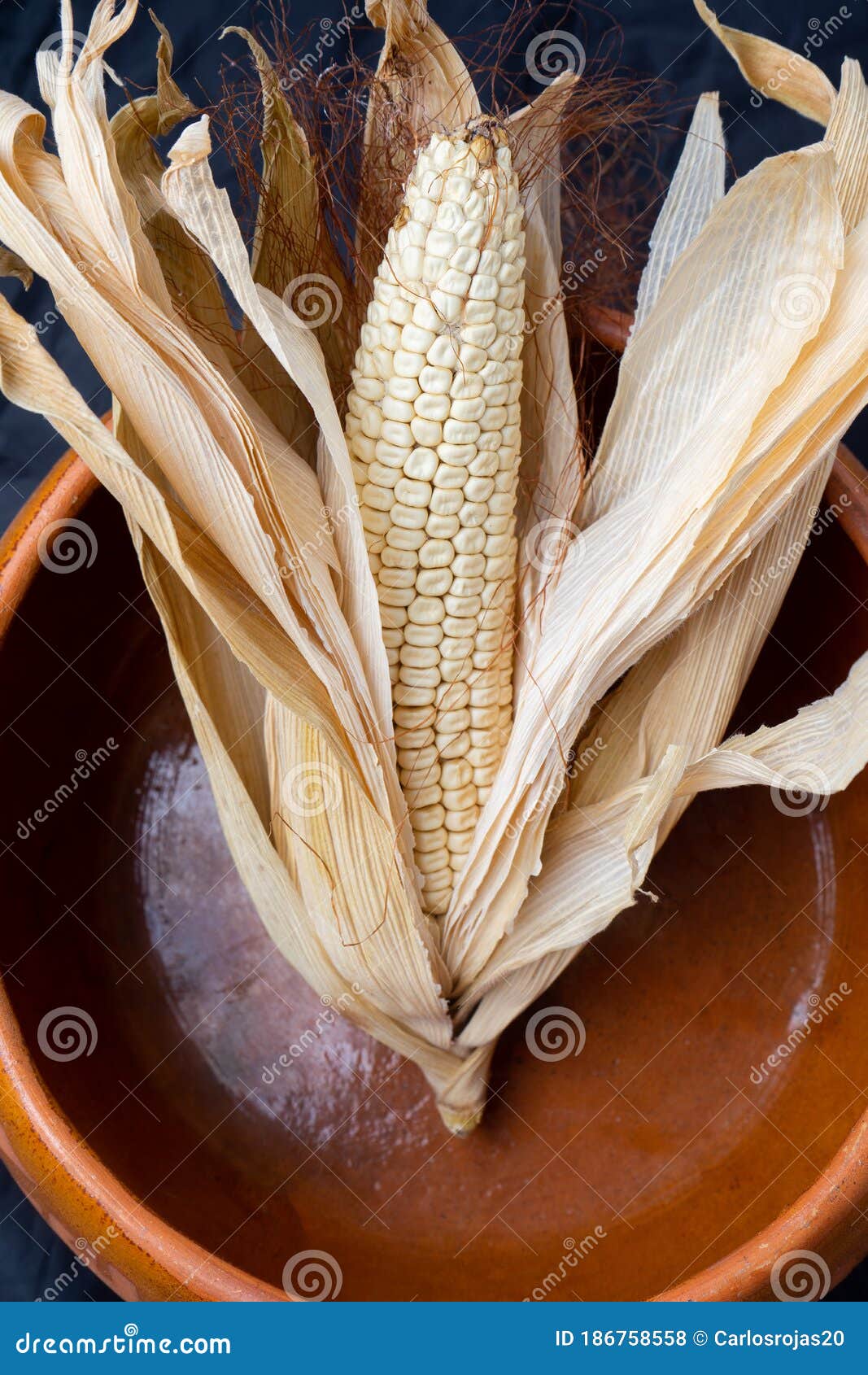 Dried Maize Corn with Leaves Stock Photo - Image of cereal, grain ...