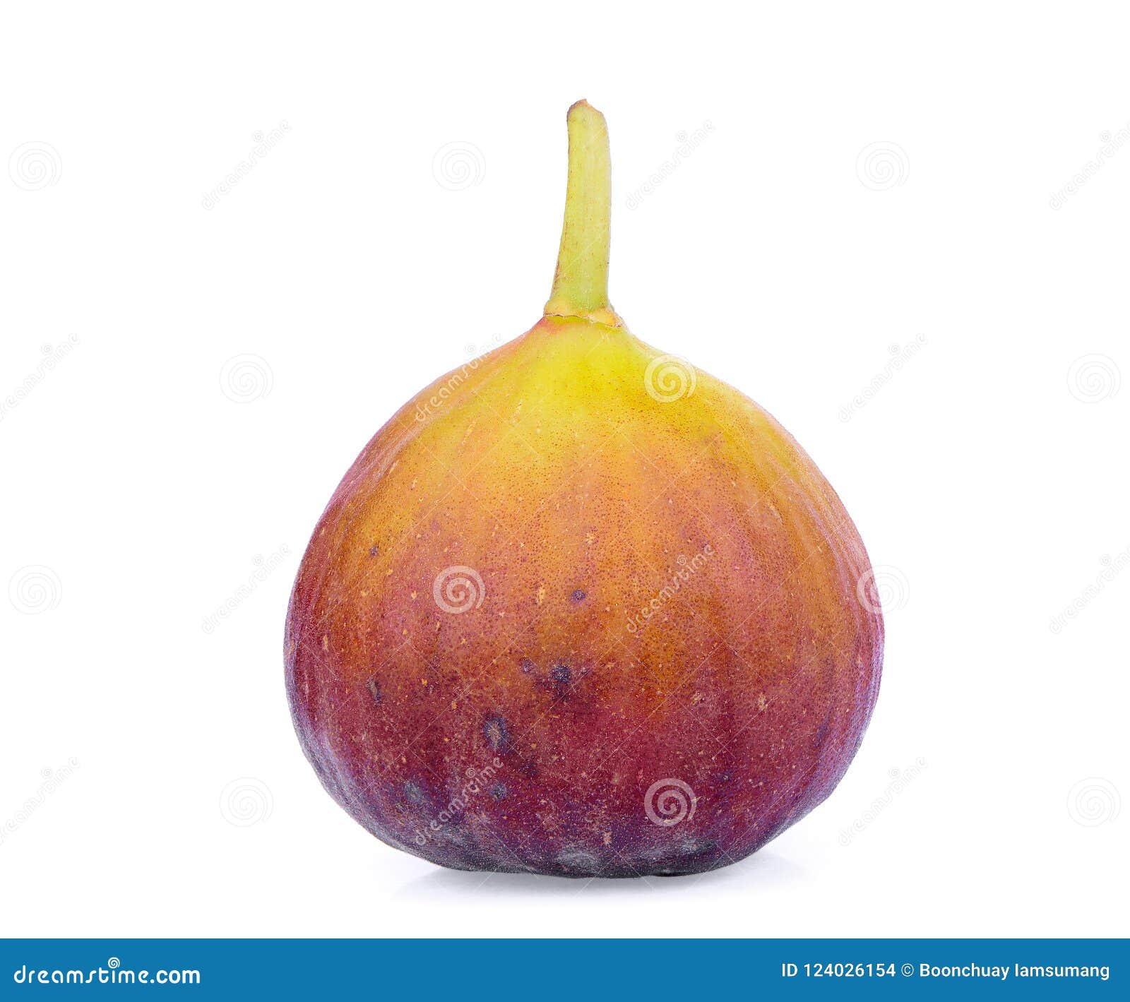 Whole Fig Fruit Isolated on White Stock Photo - Image of green, diet ...