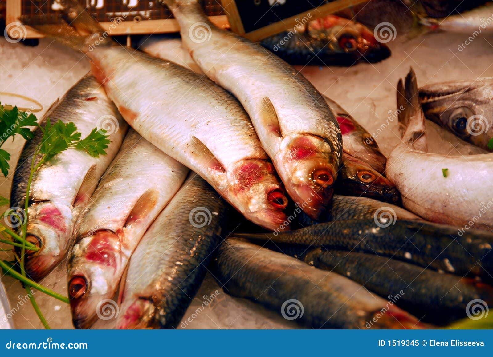Whole fish stock image. Image of heads, fish, scales, cook - 1519345