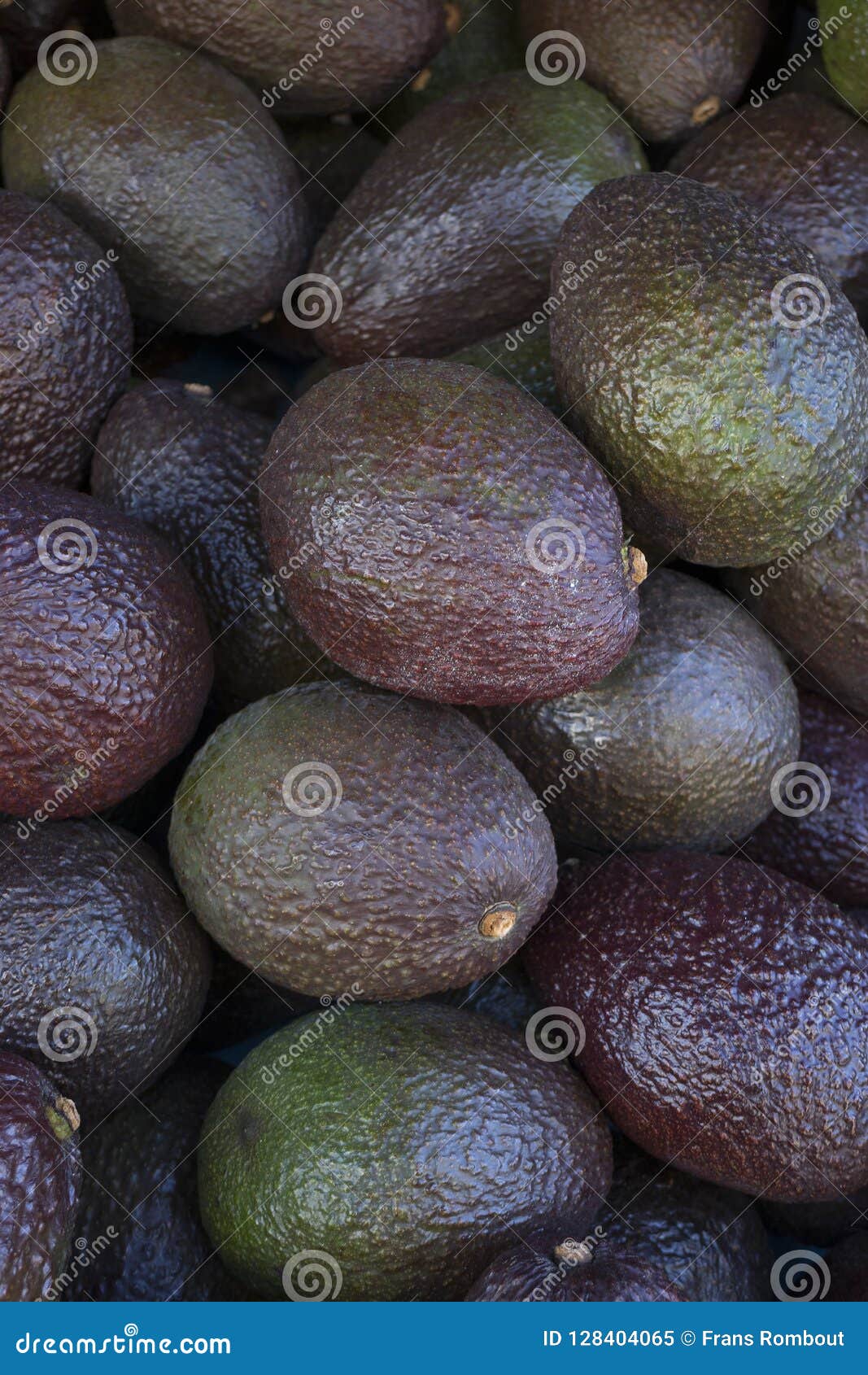Whole Fresh Avocado`s Full Frame Stock Image - Image of ripe, eating ...