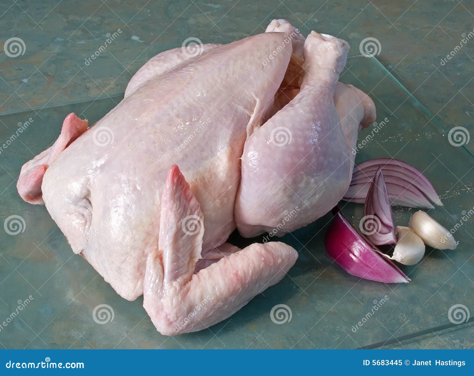 Whole Fresh Chicken stock image. Image of onion, fresh - 5683445