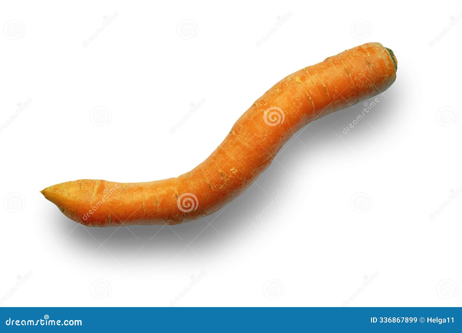 Whole Fresh Curved Carrot Isolated on White. Ugly Vegetable Stock Image ...
