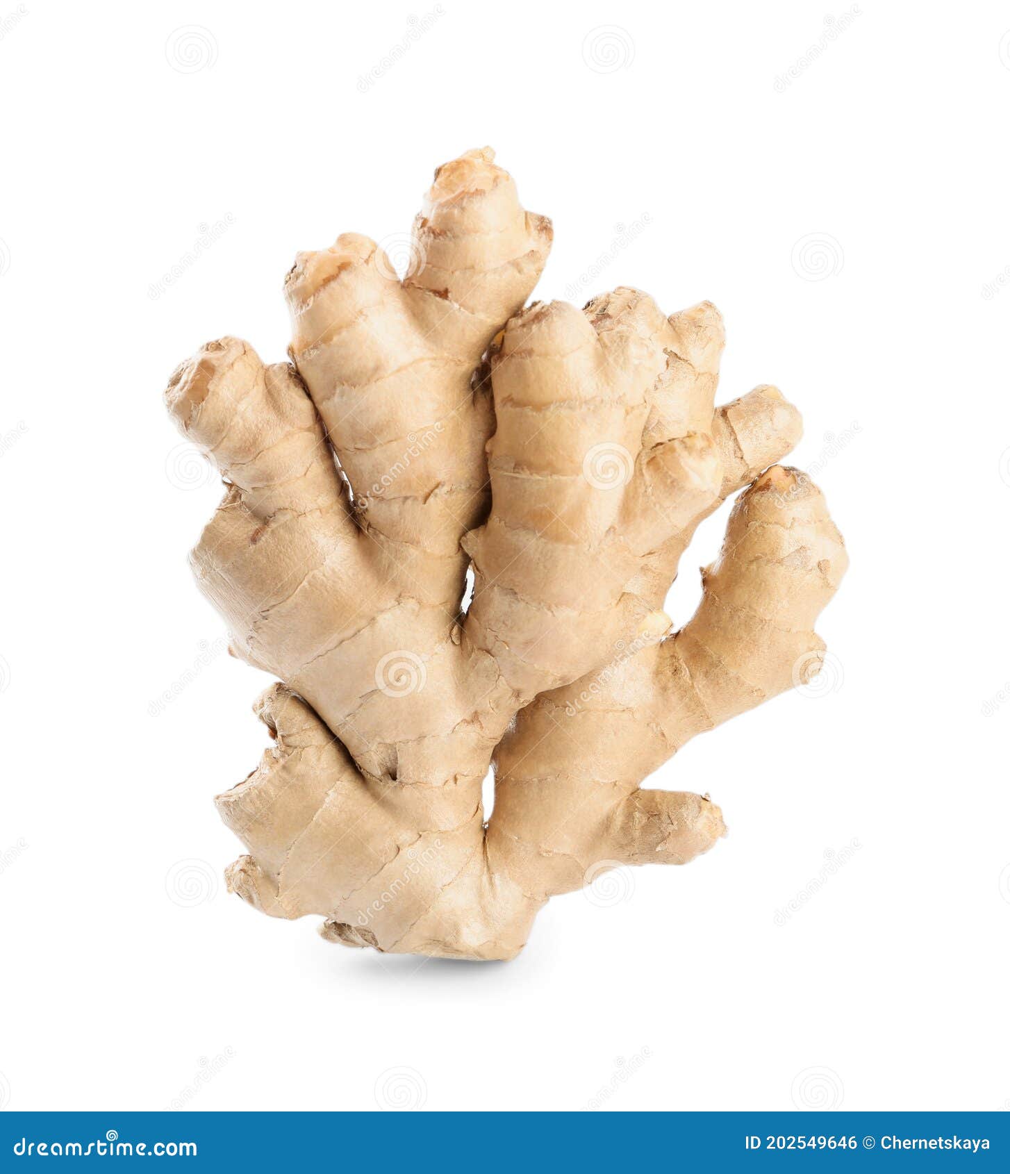 Whole Fresh Ginger Root Isolated on White Stock Photo - Image of ... Whole Fresh Ginger Root Isolated on White Stock Photo - Image of ...