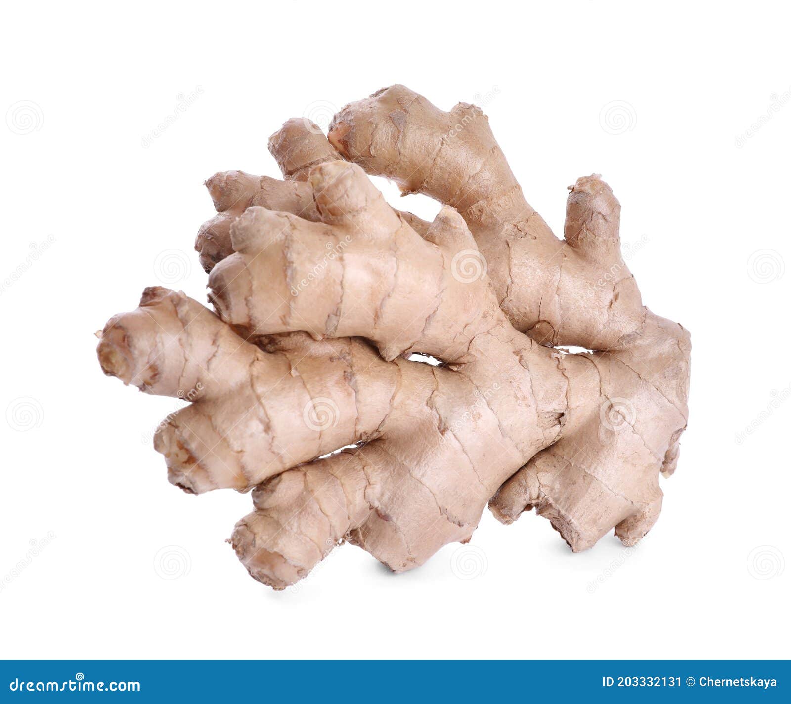 Whole Fresh Ginger Root Isolated on White Stock Image - Image of plant ...