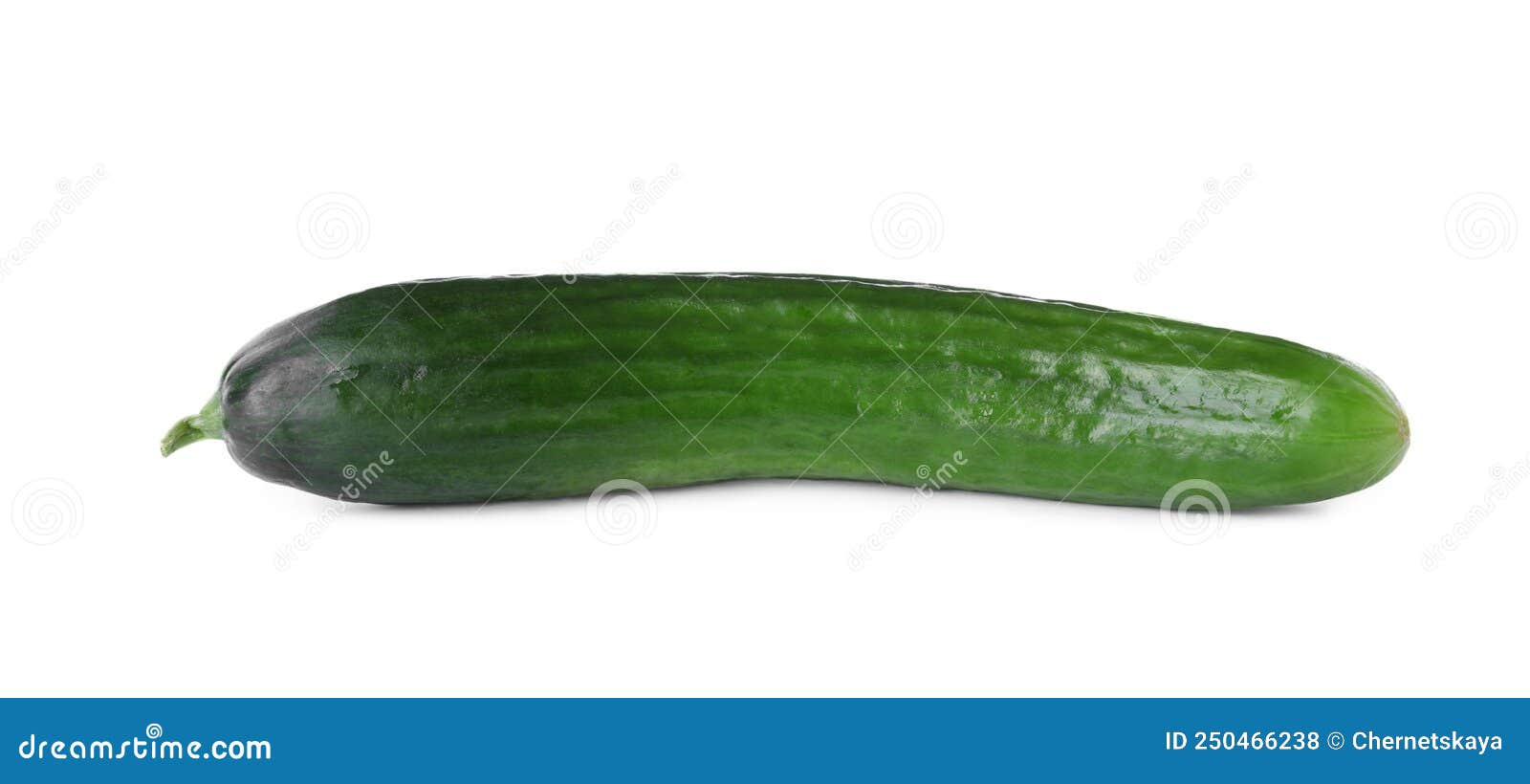 Whole Fresh Green Cucumber Isolated on White Stock Photo - Image of ...