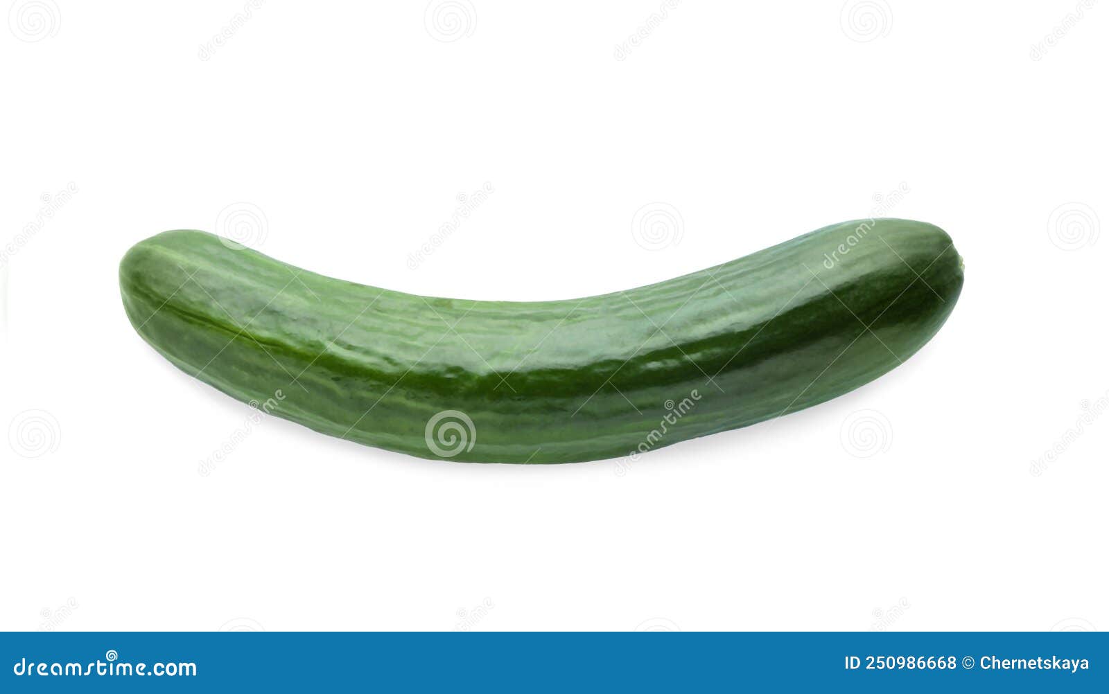 Whole Fresh Green Cucumber Isolated on White Stock Photo - Image of ...