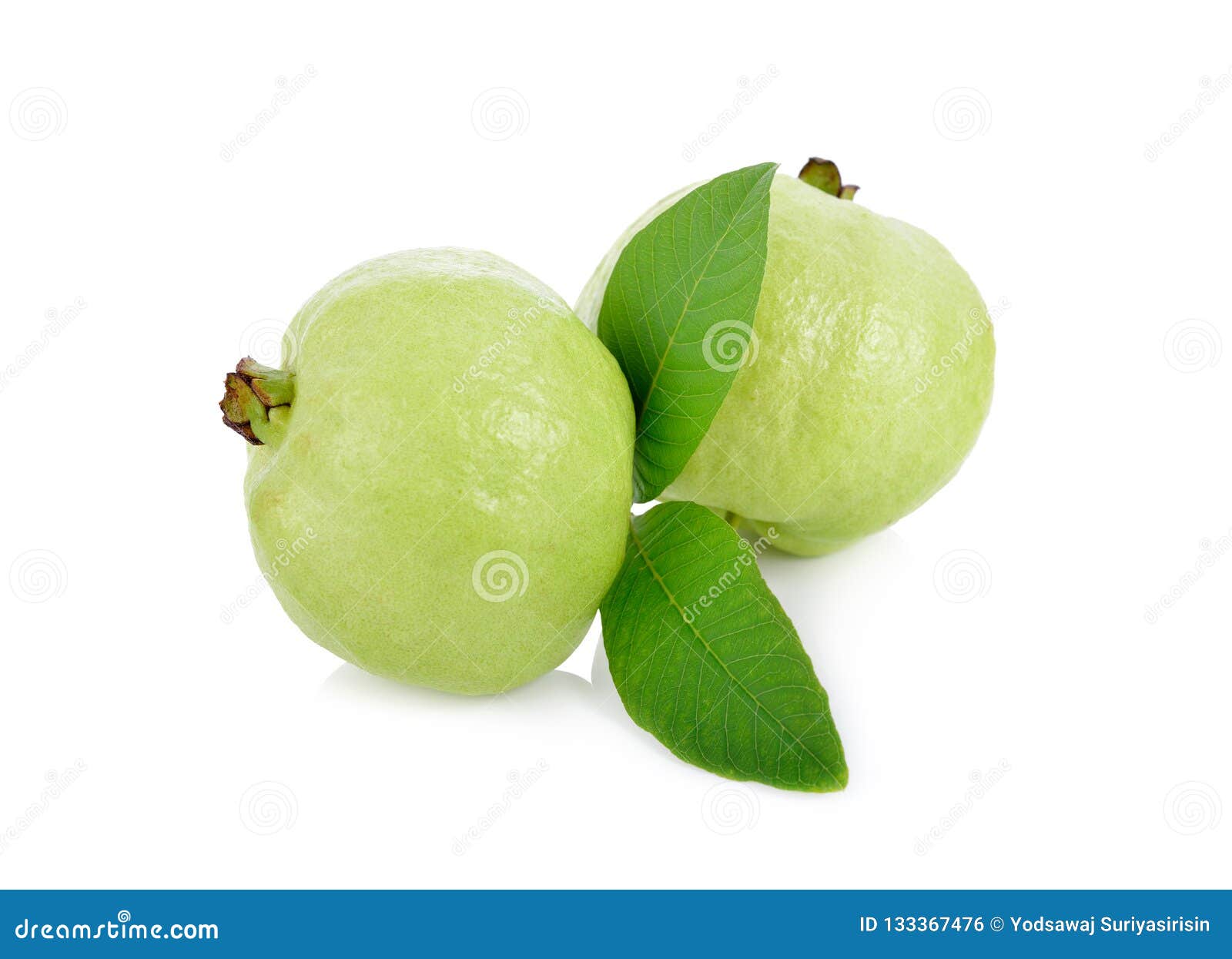 Whole Fresh Guava with Leaves on White Background Stock Photo - Image ...