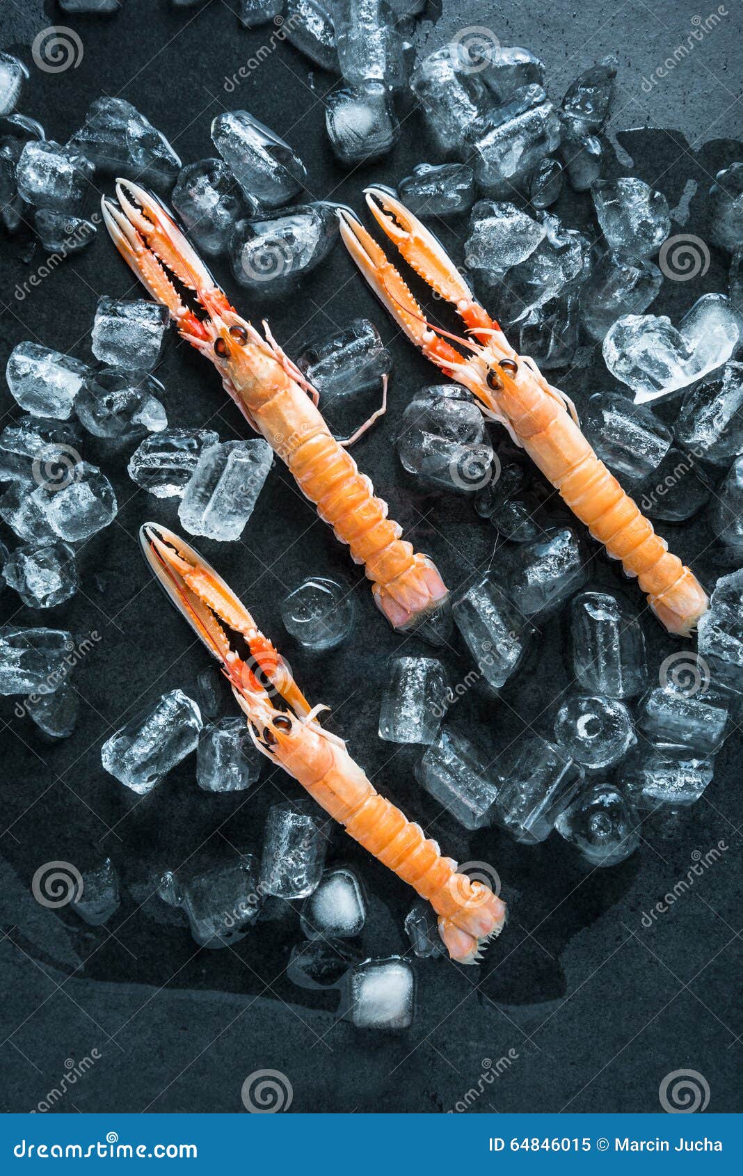 Raw Fresh Langoustine Also Known As Scampi, Isolated On White ...