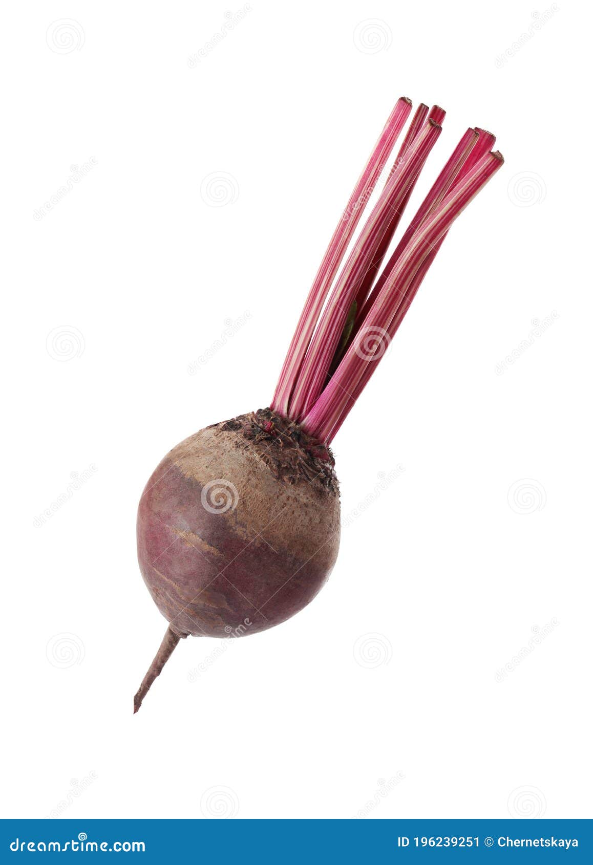 Whole Fresh Red Beet Isolated on White Stock Image - Image of isolated ...