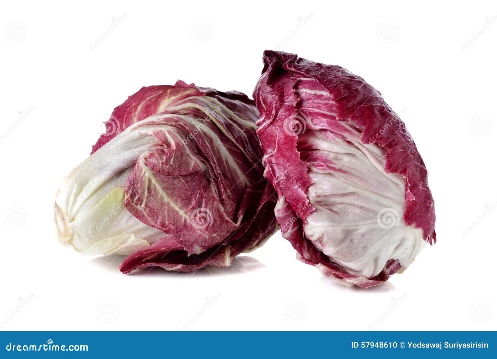 Whole Fresh Red Radicchio on White Stock Photo - Image of vegetarian ...