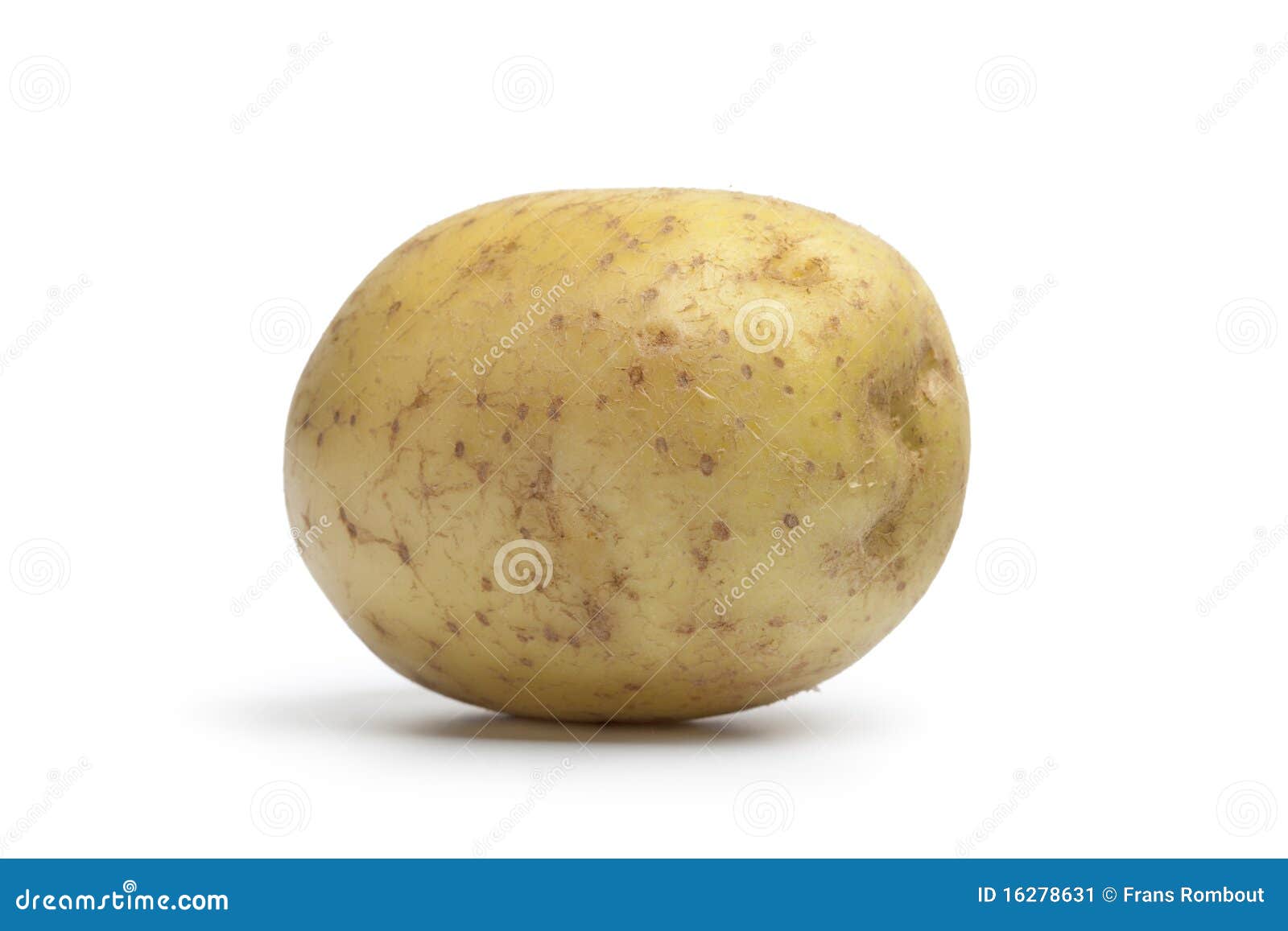 Whole Fresh Single Potato Stock Image | CartoonDealer.com #16278631