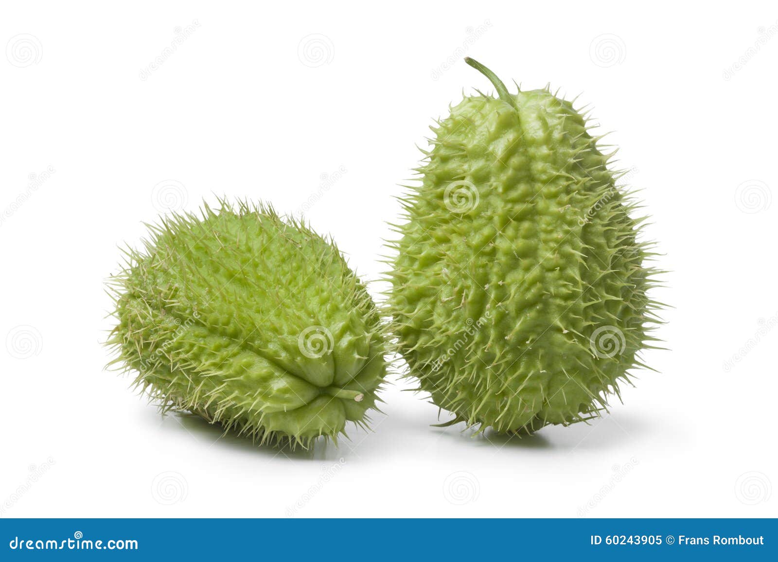 Whole Fresh Spined Chayote Fruit Stock Image - Image of food, edule ...