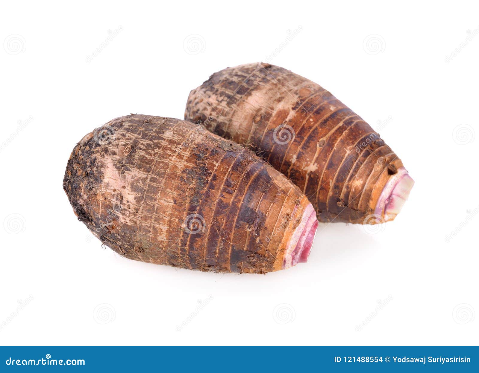 Whole Fresh Taro on White Background Stock Photo - Image of unpeeled ...