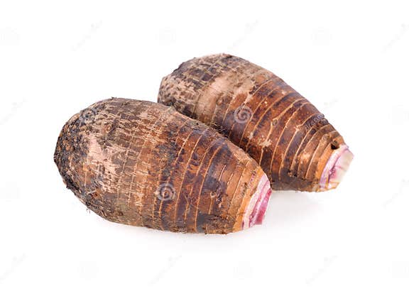 Whole Fresh Taro on White Background Stock Photo - Image of unpeeled ...