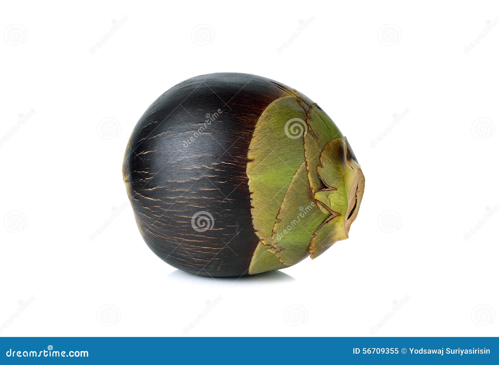 Whole Fresh Toddy Palm Fruit on White Stock Image - Image of white ...