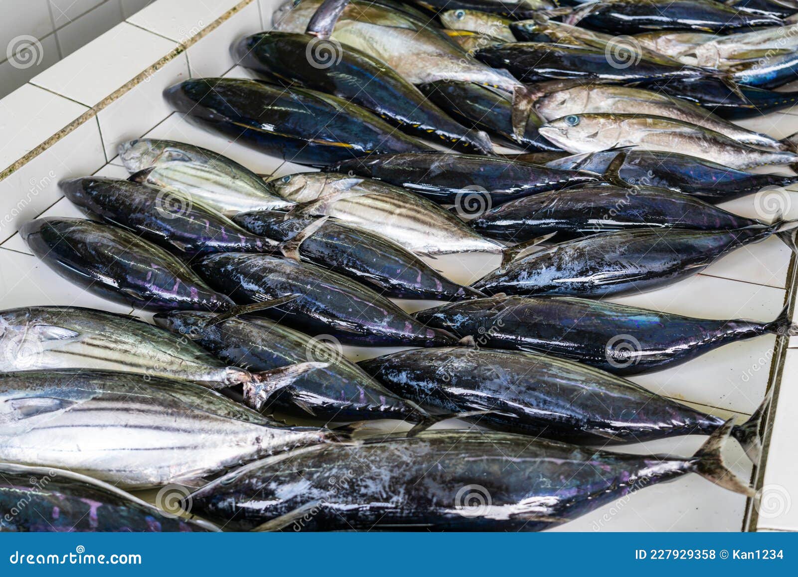 Whole Fresh Tuna Fish in Local Fish Market Stock Photo - Image of local ...