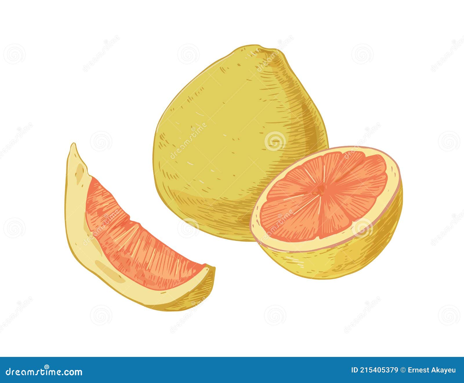 Whole Fruit, Slice, Segment and Half of Pomelo Isolated on White ...