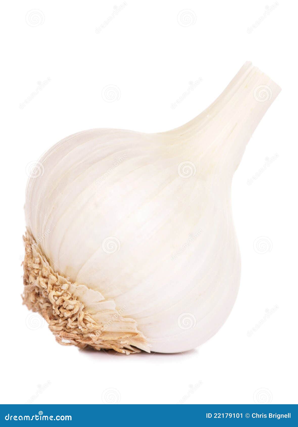 Whole Garlic In Husk Isolated On White Background. Stock Photo ...