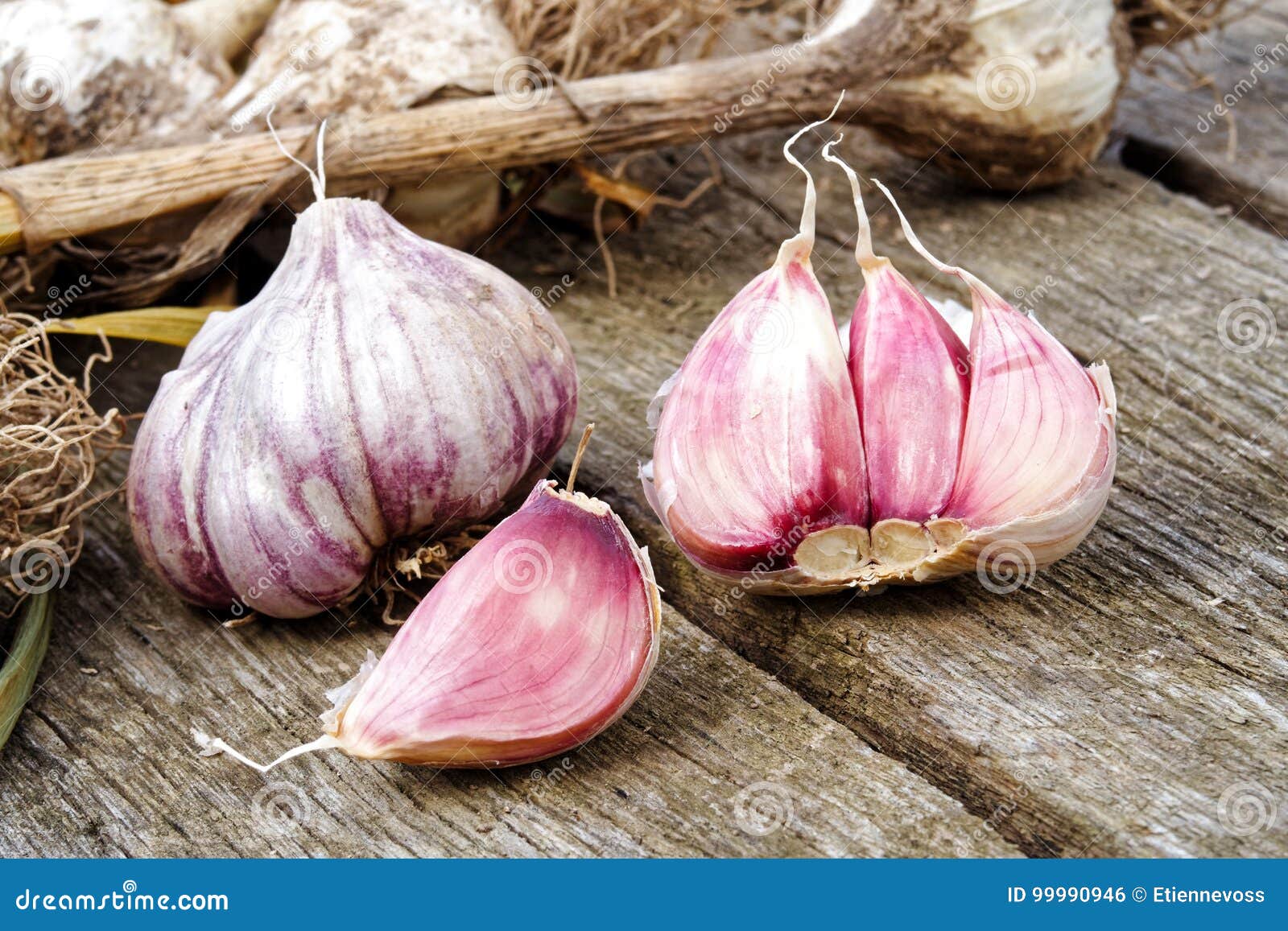 Whole Garlic with Broken Bulb and Pink Cloves on Rustic Wooden B Stock ...