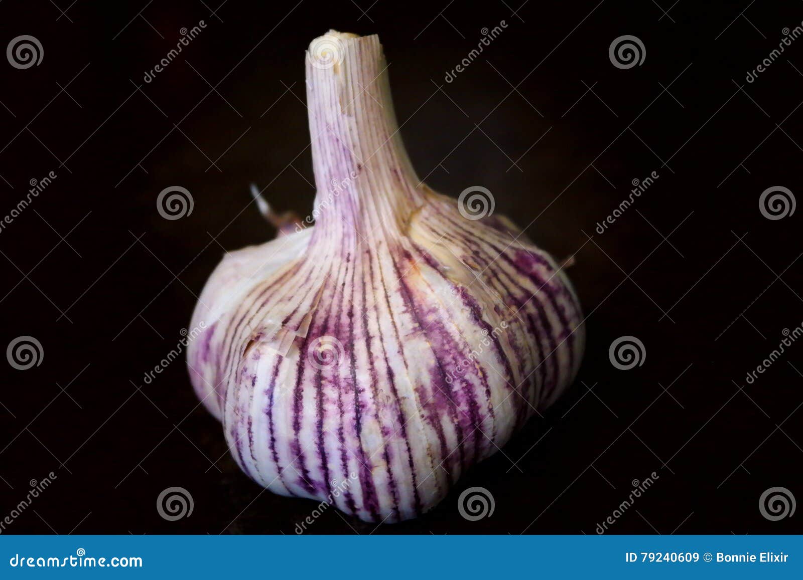 A whole garlic stock image. Image of goodness, heat, garlic - 79240609