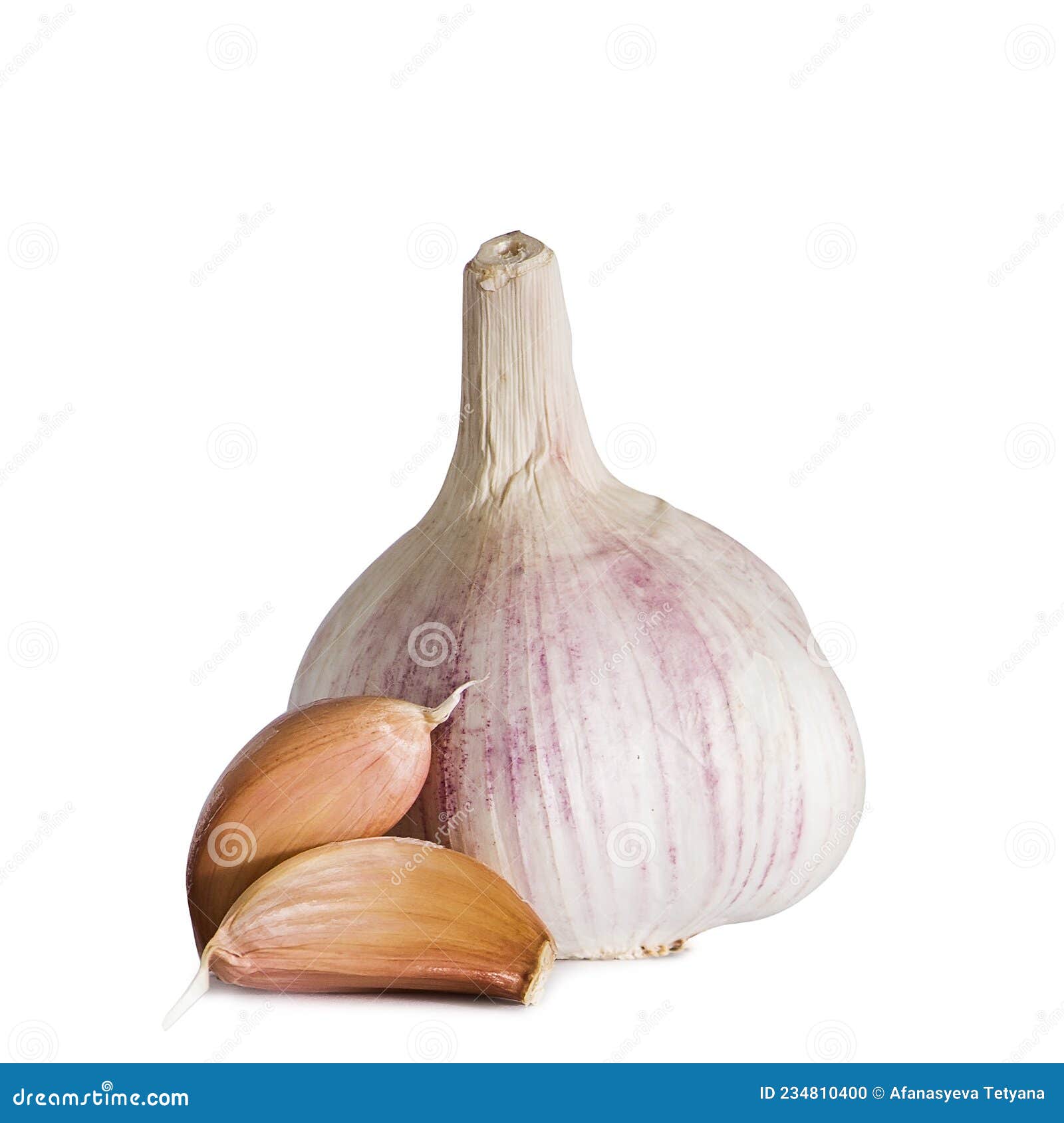 Whole Garlic in Husk Isolated on White Background. Stock Photo - Image ...
