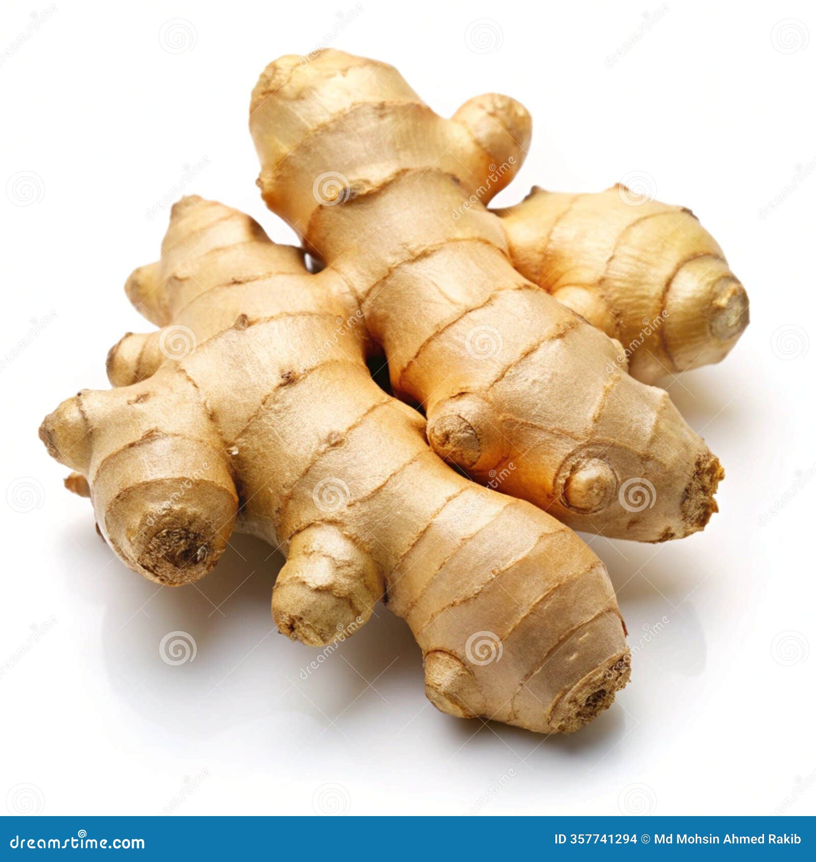Whole ginger root isolated stock illustration. Illustration of fish ...