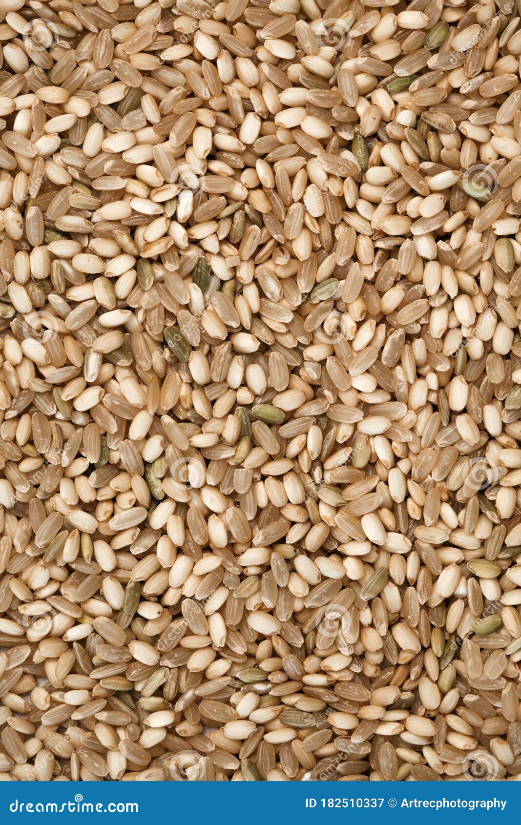 Whole Grain Brown Rice Seamless Pattern Background Stock Image - Image ...