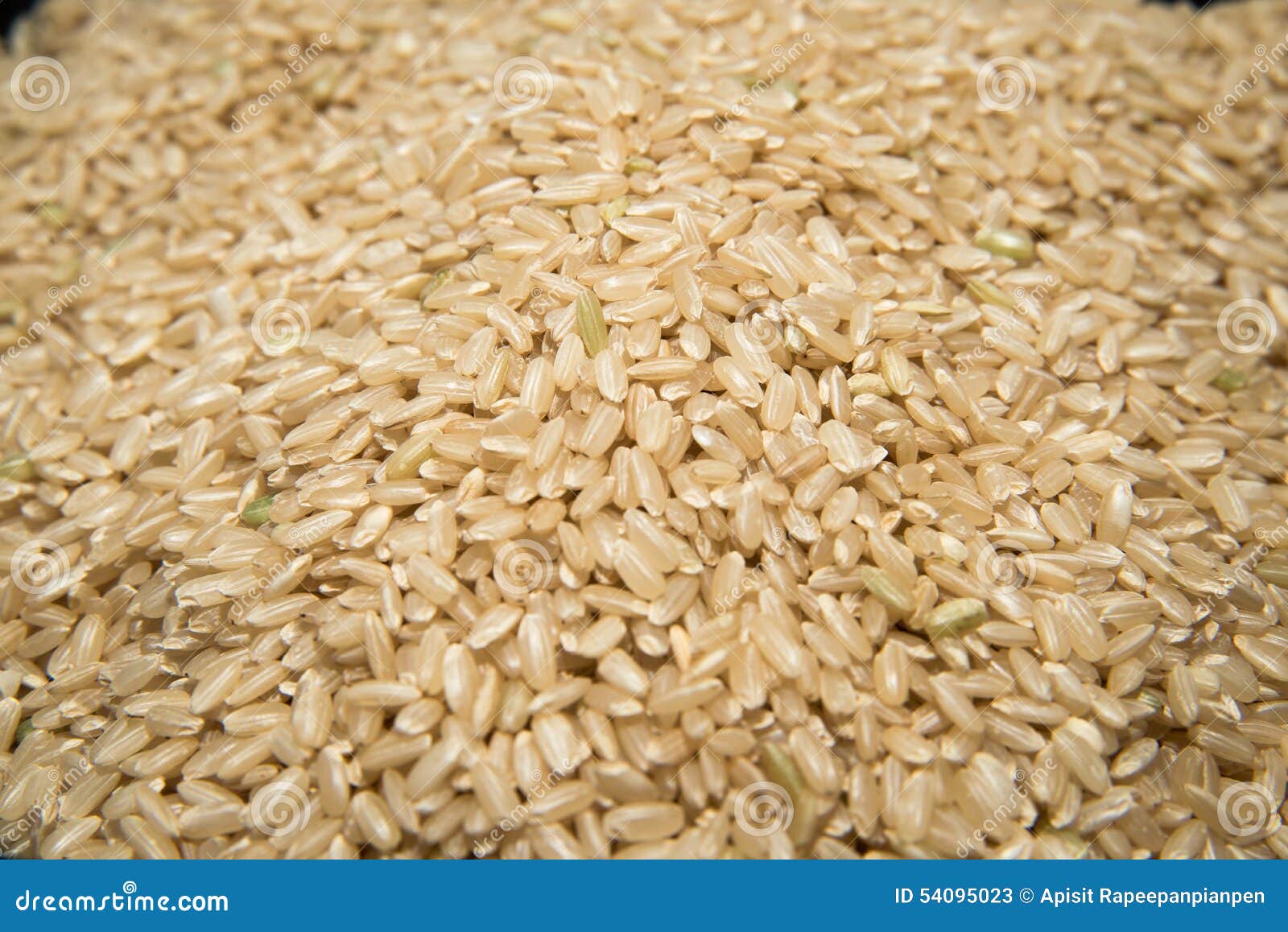 Whole grain japanese rice stock image. Image of background - 54095023