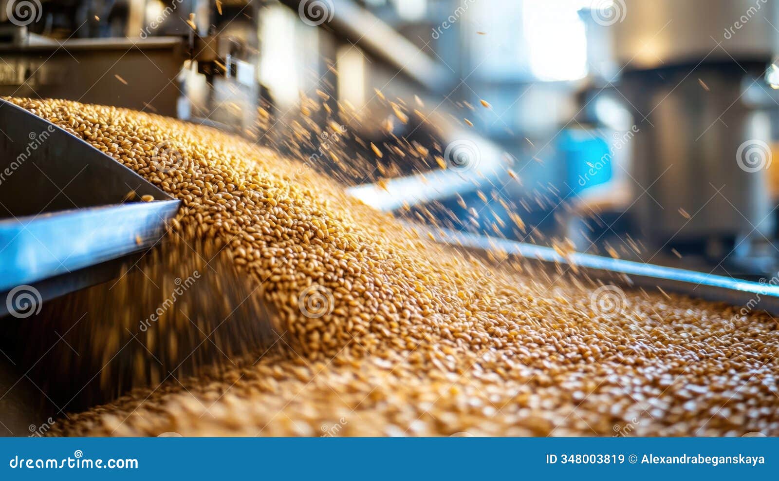 Whole Grain Sampling Day Dynamic Grain Processing in Industrial Mill ...