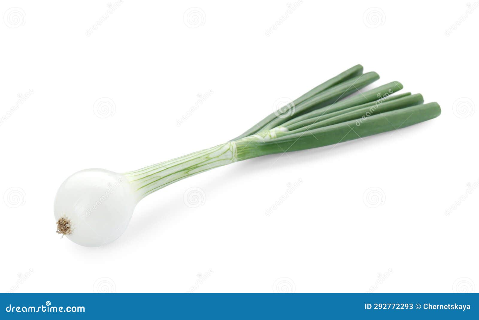Whole Green Spring Onion Isolated on White Stock Image - Image of ...