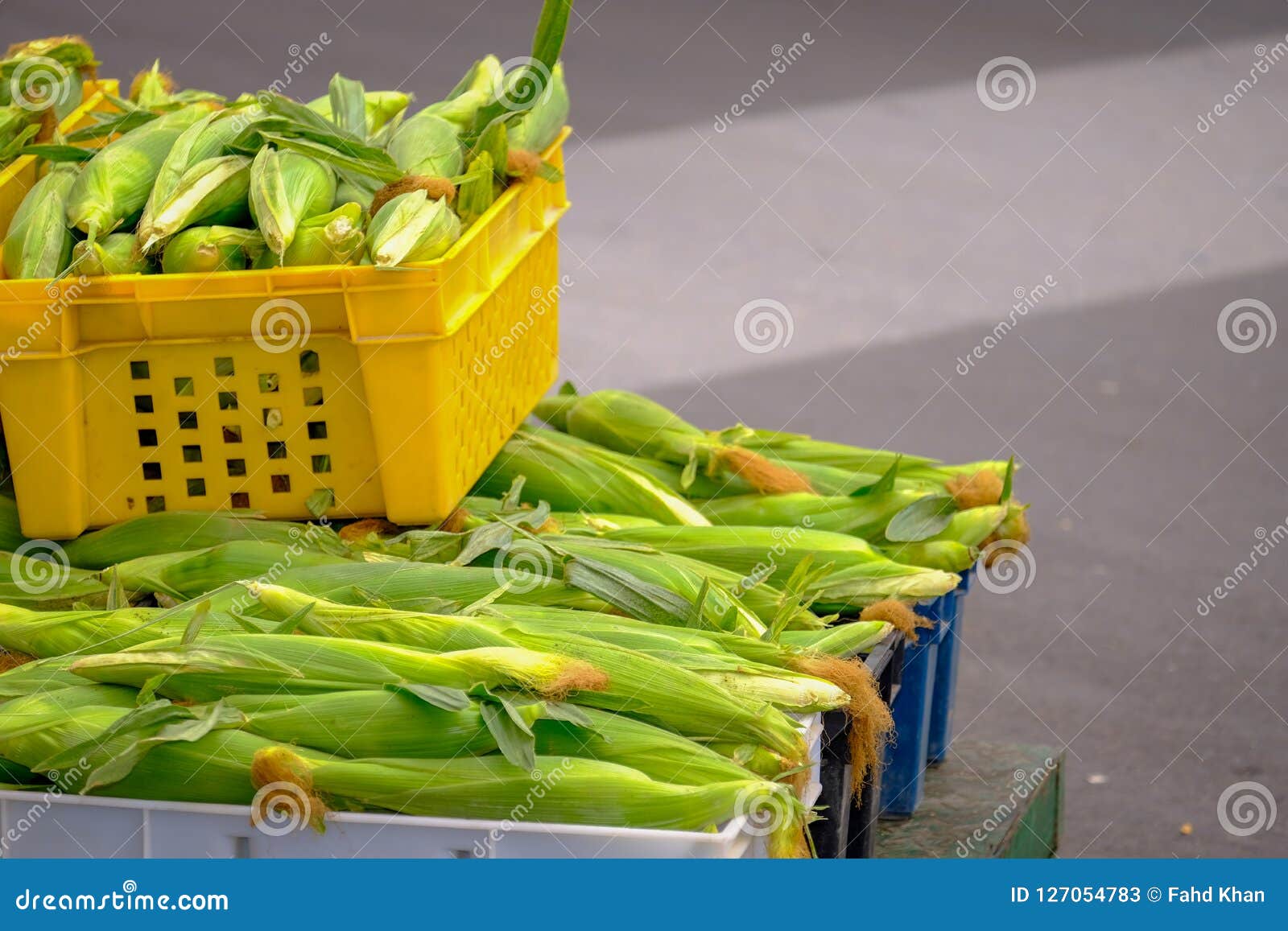 Whole green unripe corn stock image. Image of corn, ingredient - 127054783