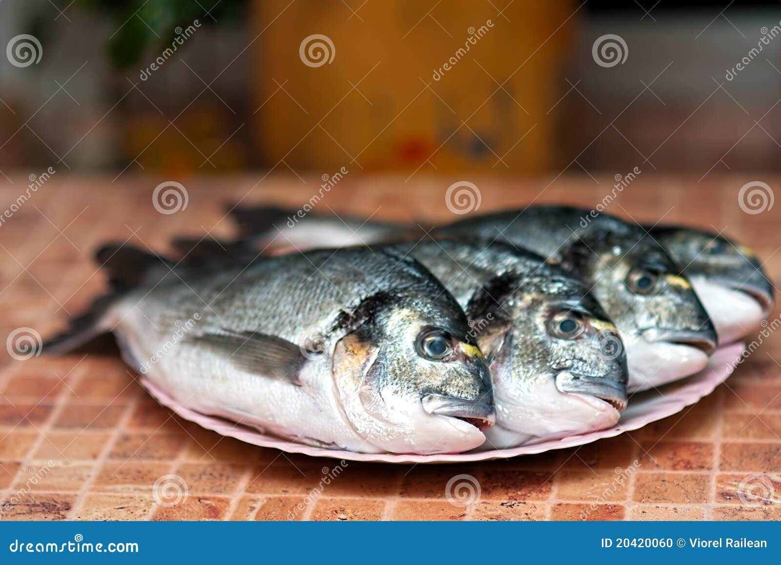 Whole griled dorada fish stock photo. Image of light - 20420060