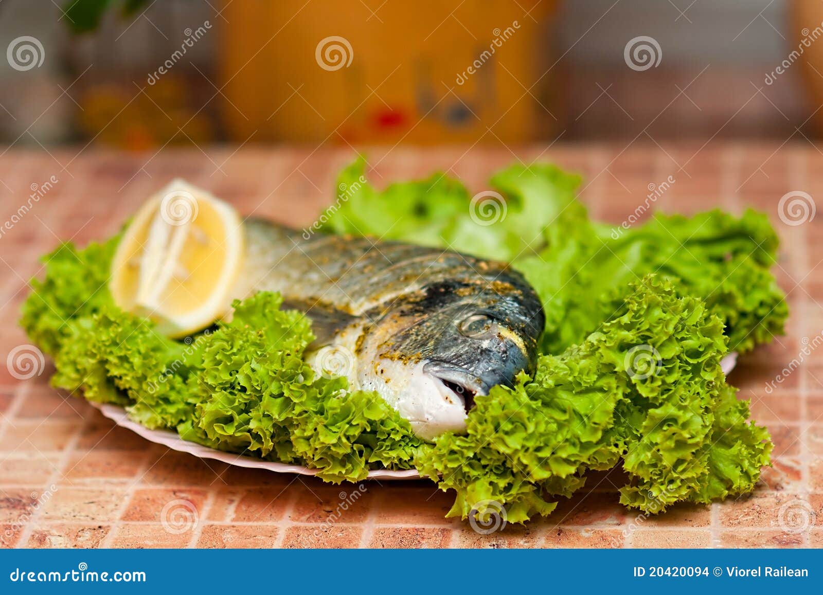Whole griled dorada fish stock photo. Image of ocean - 20420094
