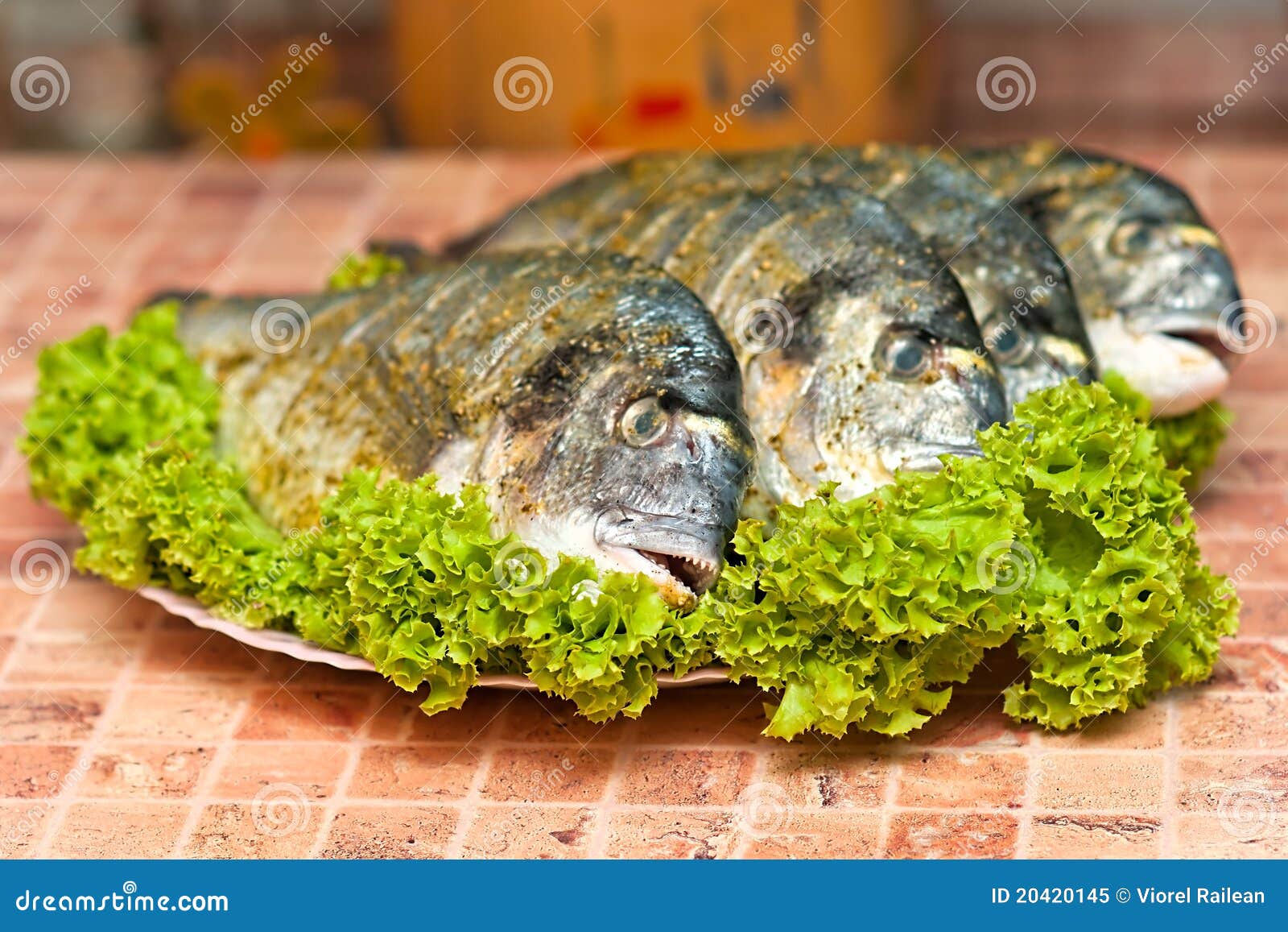 Whole griled dorada fish stock image. Image of dinner - 20420145